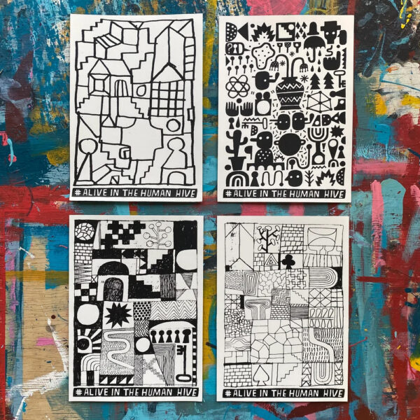Shop - David Shillinglaw
