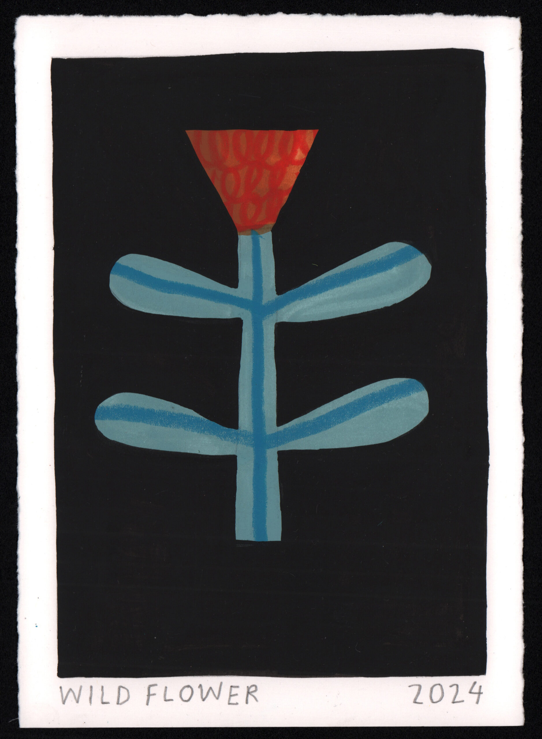 *Wild flower 19 - David Shillinglaw